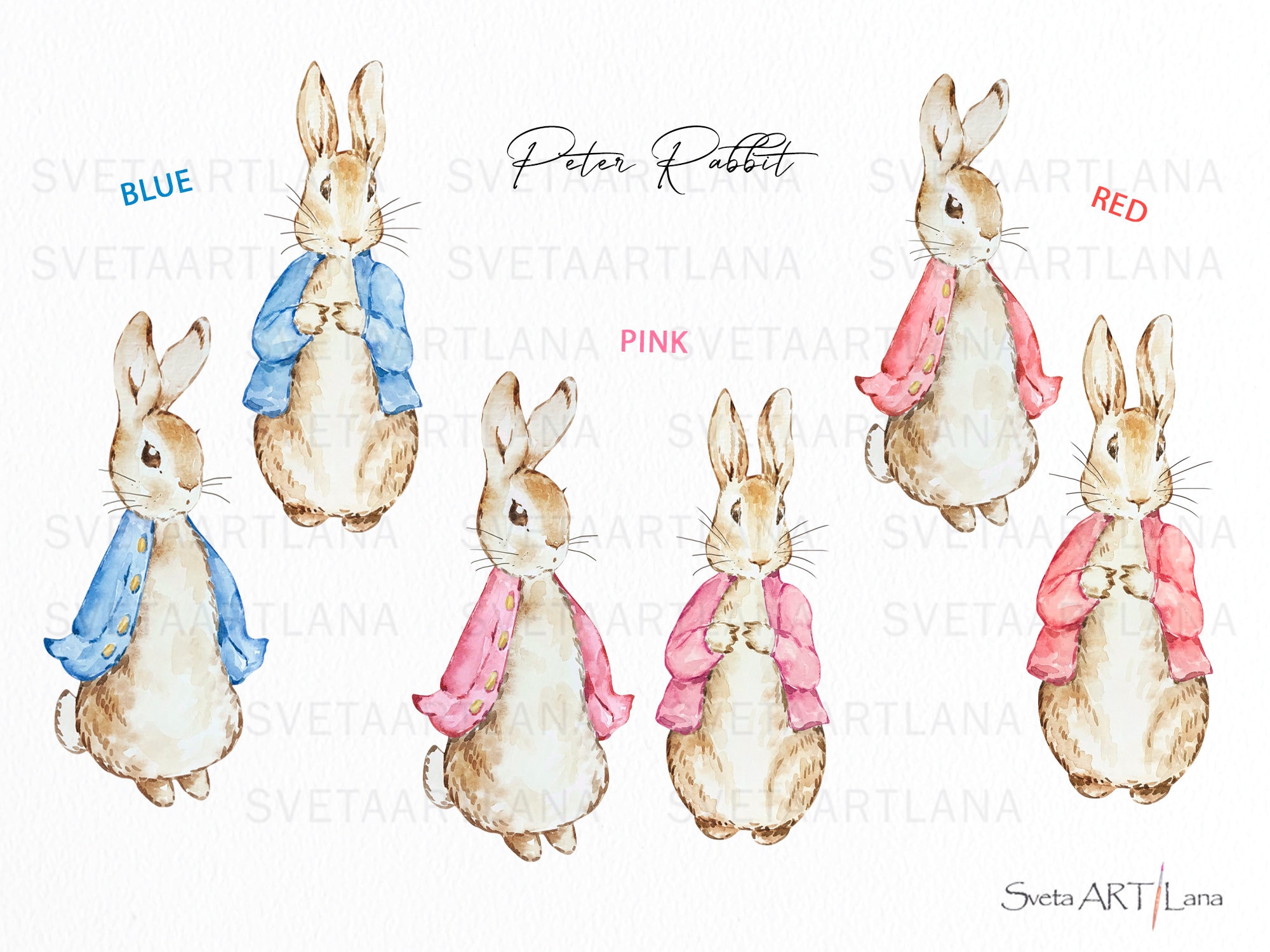 Watercolor Peter Rabbit Clipart PNG Beatrix Potter - Etsy UK