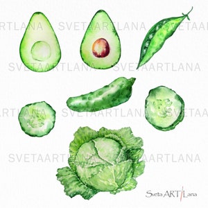 Watercolor Vegetables Clipart | Healthy Food | Home Kitchen | Garden ...