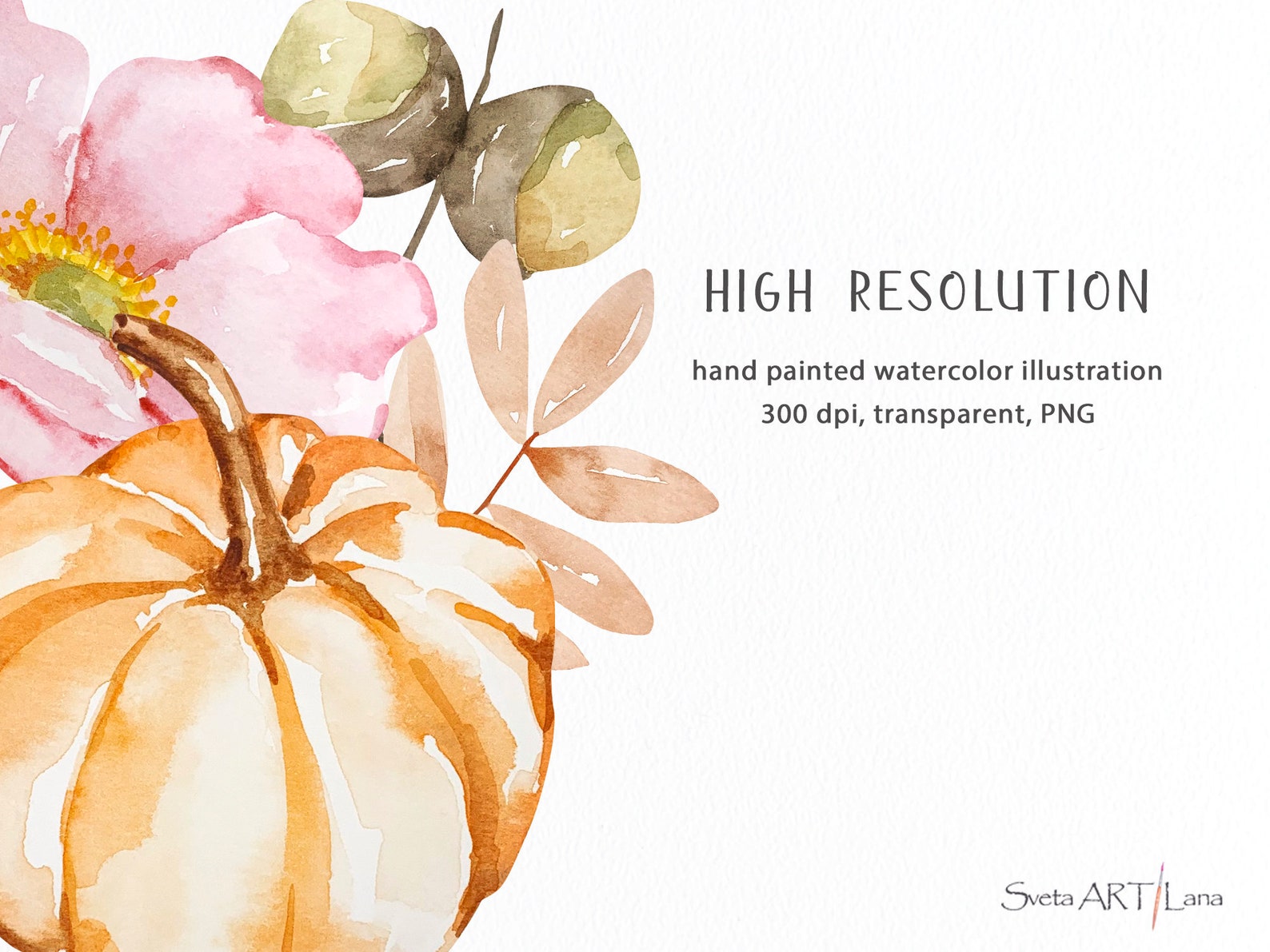 Autumn Watercolor Pastel Pumpkins Clipart Modern Pumpkins - Etsy