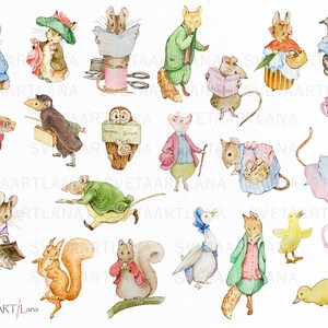 Peter Rabbit Friends Clipart Watercolor Animal PNG Beatrix Potter Art ...