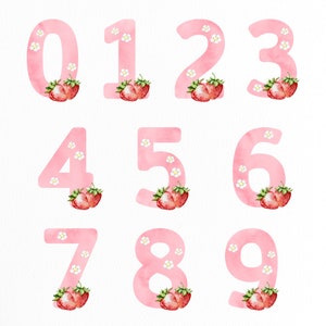 Pink Floral Numbers PNG Watercolor Strawberry Individual Numbers ...