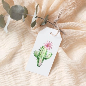 Watercolor Cactus Clipart | Boho Tropical Plant | Mexican Cacti ...