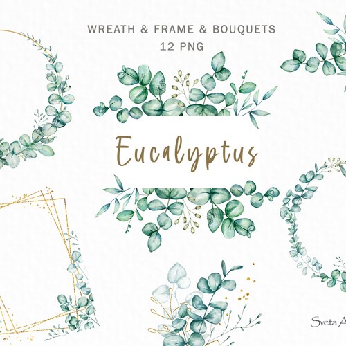 Watercolor Eucalyptus Wreath Clipart Eucalyptus Frame Clip - Etsy