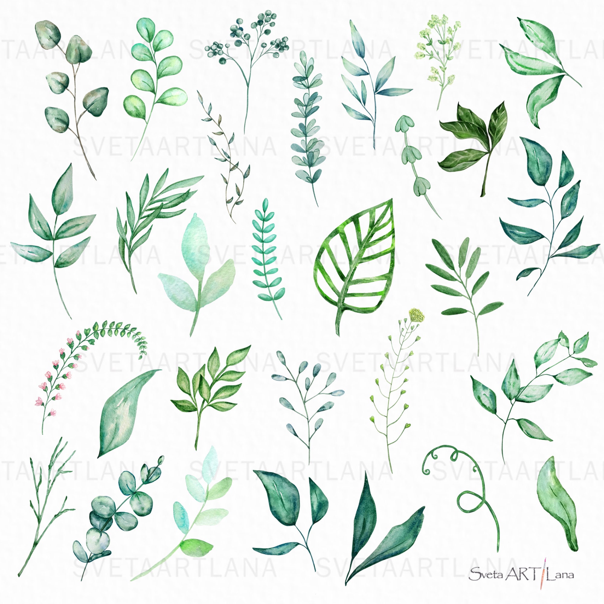 Watercolor Greenery Clipart Green Eucalyptus Foliage Clip - Etsy