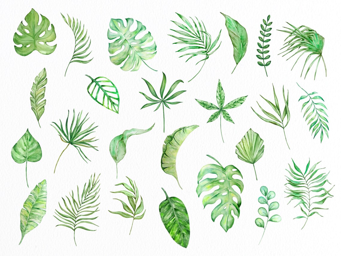 Watercolor Tropical Leaves Clipart Greenery Clipart Wedding - Etsy