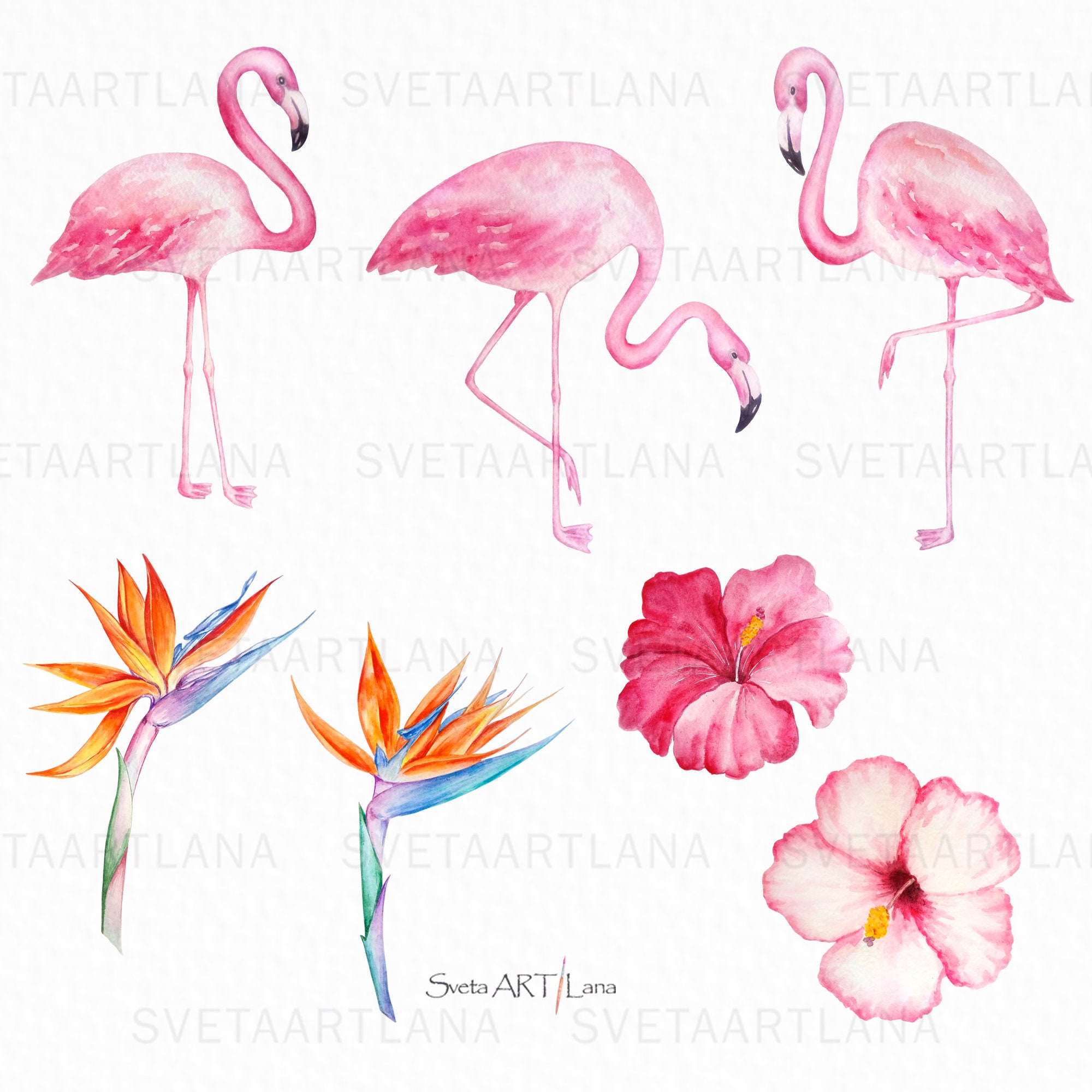 Tropical Watercolor Clipart | Pink Flamingo Watercolor Clipart ...