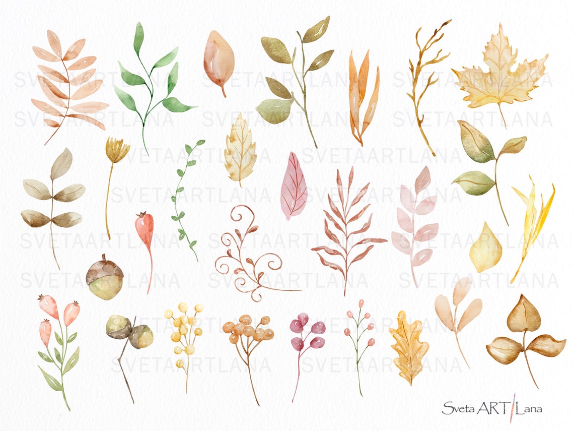 Autumn Watercolor Pastel Pumpkins Clipart Modern Pumpkins - Etsy