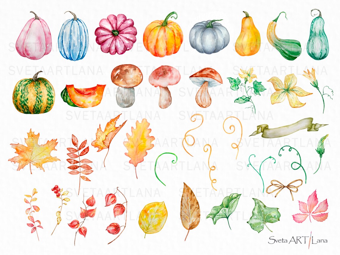 Pumpkin Watercolor Clipart Autumn Harvest Fall Clipart - Etsy