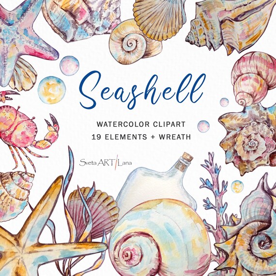 Watercolor Seashell Clipart Sea Underwater Illustration | Etsy