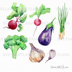 Watercolor Vegetables Clipart | Healthy Food | Home Kitchen | Garden ...