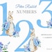 Peter Rabbit Floral Blue Alphabet Clipart | Watercolor Alphabet PNG ...