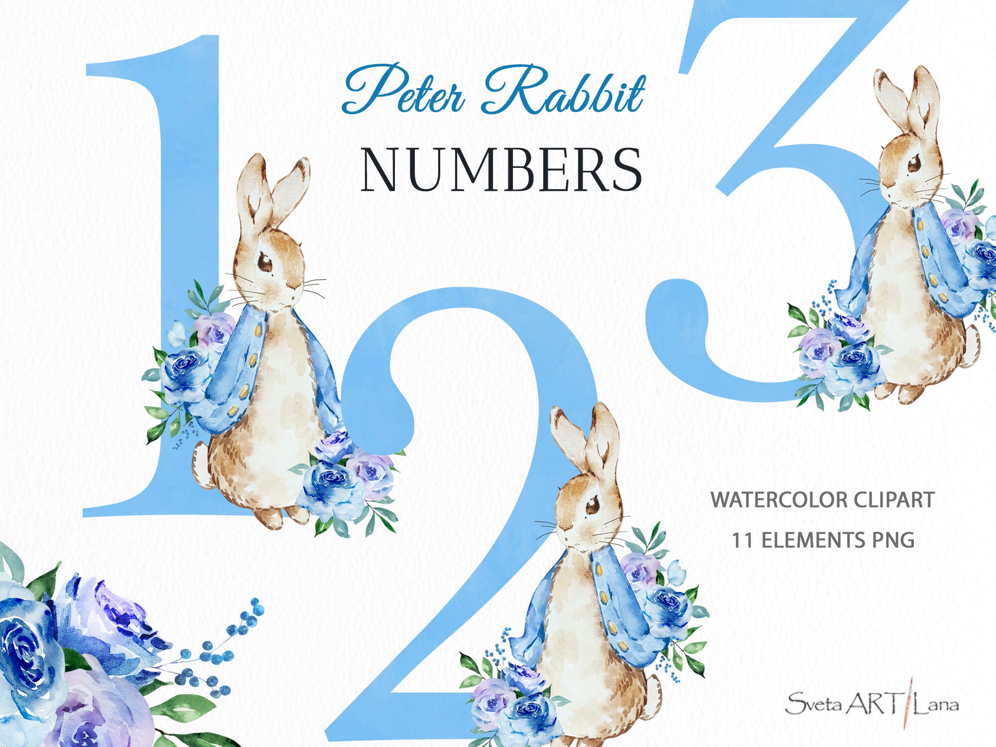Peter Rabbit Blue Floral Numbers PNG Watercolor Peter Rabbit - Etsy