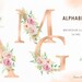 Strawberry Alphabet Clipart | Watercolor Strawberry | Red Letters ...
