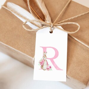 Flopsy Rabbit Pink Floral Alphabet Clipart | Watercolor Alphabet PNG ...