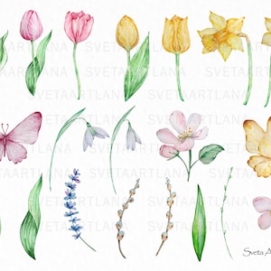Watercolor Spring Clipart | Seasonal Design | Spring Tulip Flowers ...