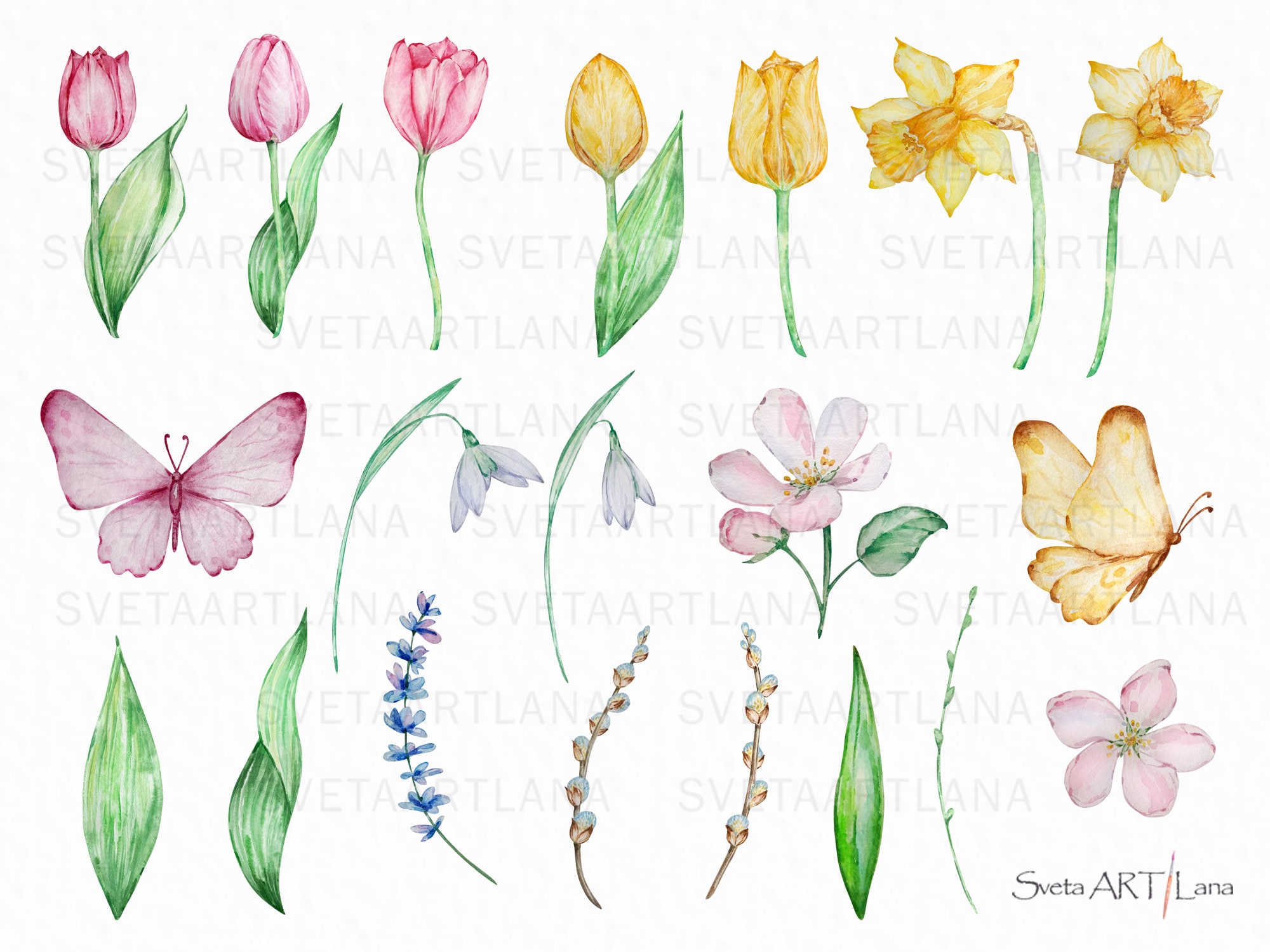 Watercolor Spring Clipart Seasonal Download Flowers | Etsy