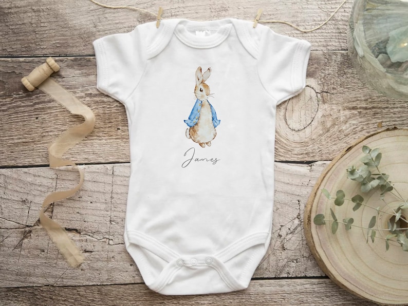 Watercolor Peter Rabbit Clipart PNG Beatrix Potter - Etsy