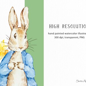 Peter Rabbit Green Alphabet Clipart | Watercolor Cute Bunny PNG | Peter ...