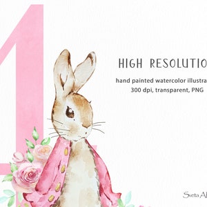 Flopsy Rabbit Pink Floral Numbers PNG | Watercolor Peter Rabbit ...