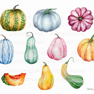 Watercolor Pumpkin Clipart Autumn Pumpkins Clip Art Fall - Etsy