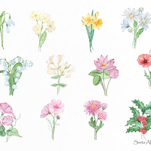 Watercolor Birth Month Flowers Clipart | Elegant Floral PNG | Birthday ...