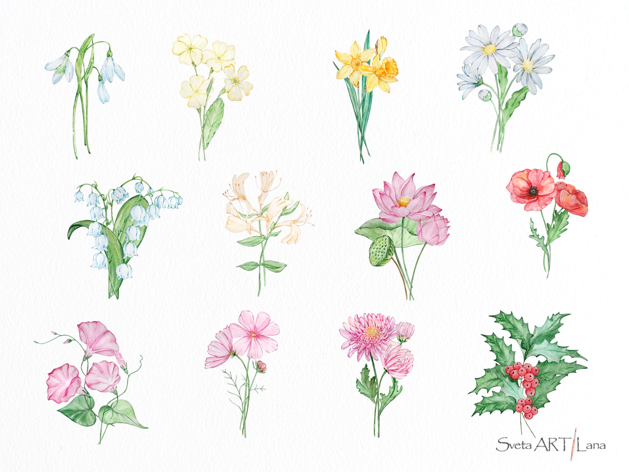 Watercolor Birth Month Flower Clipart Floral PNG Birthday - Etsy