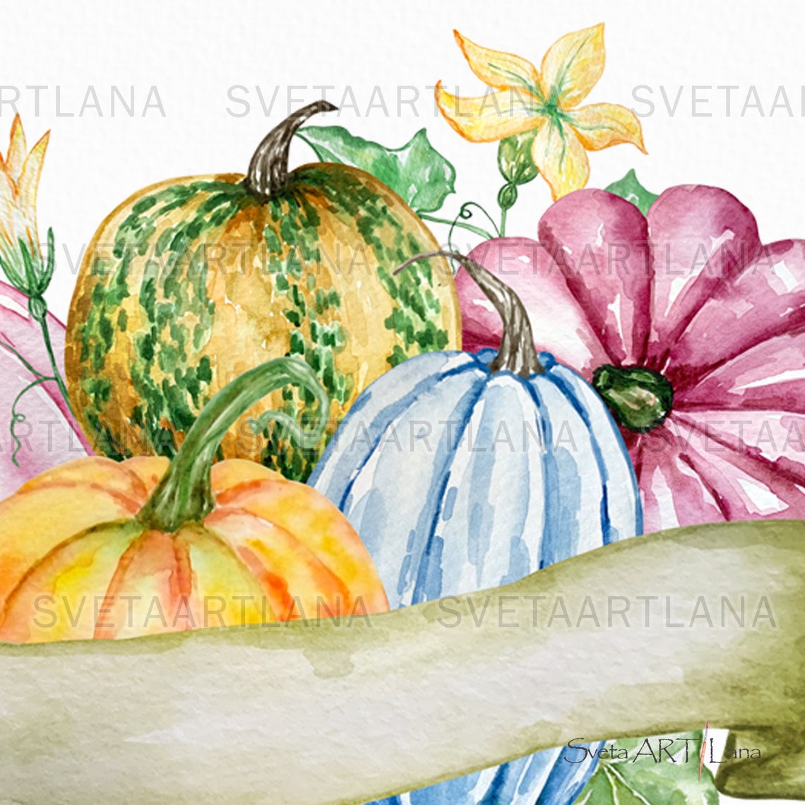 Watercolor Autumn Pumpkin Clipart Fall Pumpkin Png - Etsy