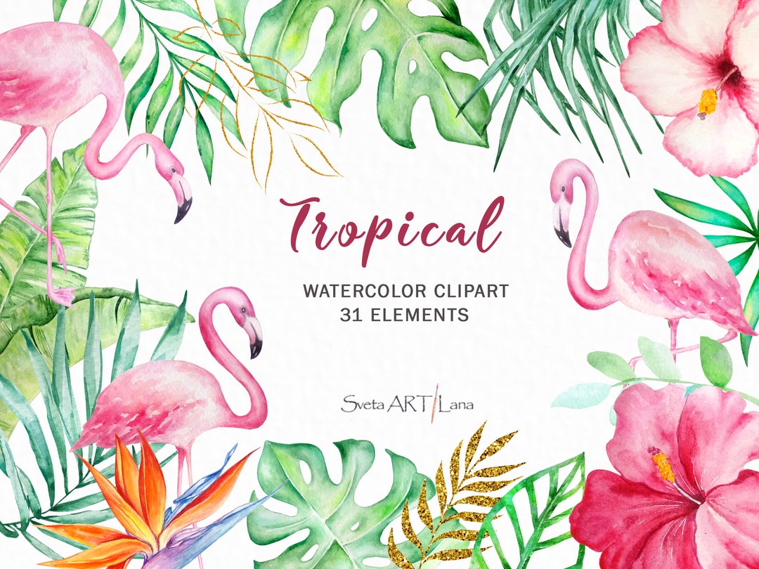 Tropical Watercolor Clipart | Pink Flamingo Watercolor Clipart ...