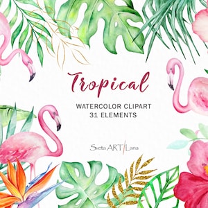 Tropical Watercolor Clipart | Pink Flamingo Watercolor Clipart ...