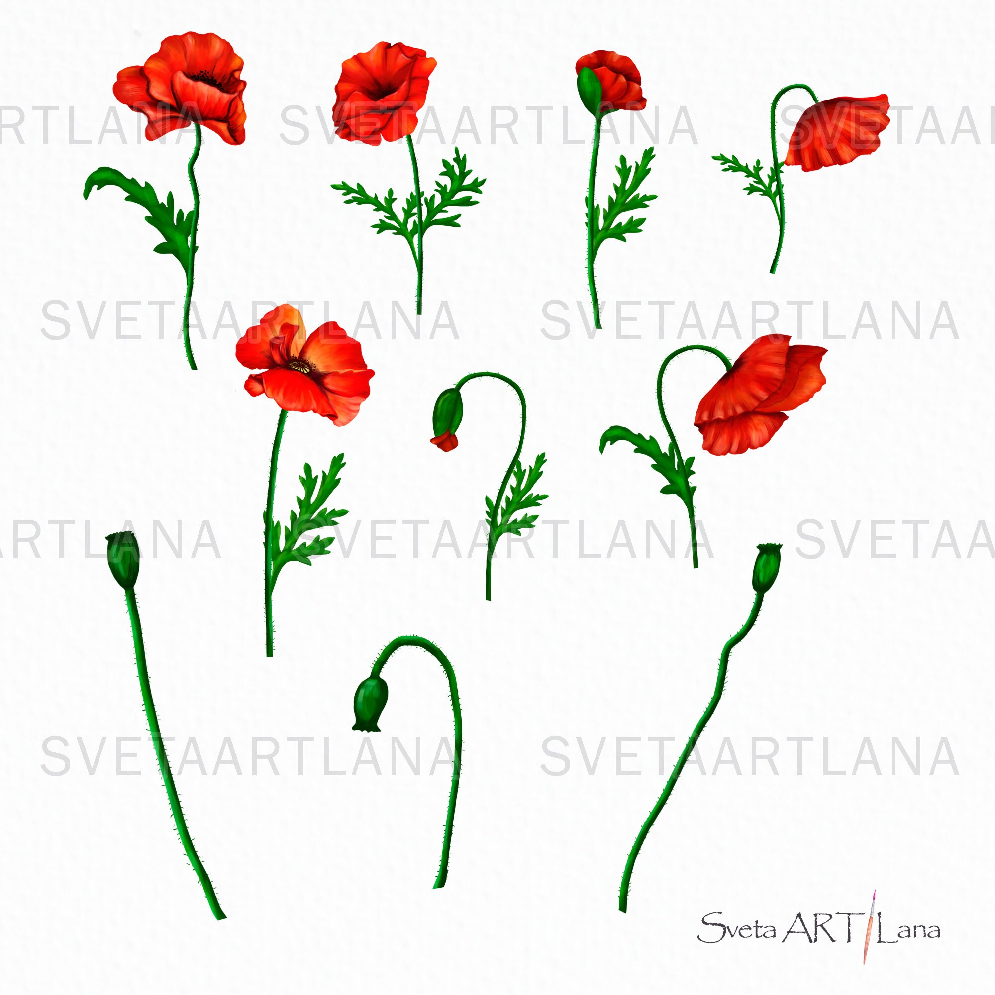 Red Poppy Flower Clipart Floral and Bee Poppy Bouquet - Etsy