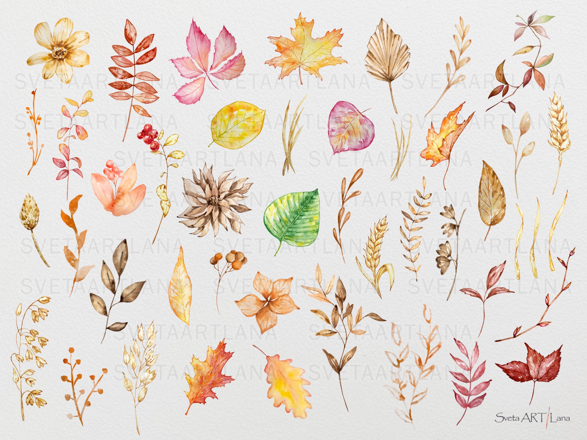 Watercolor Autumn Leaves Clipart Fall Leaves Clipart - Etsy