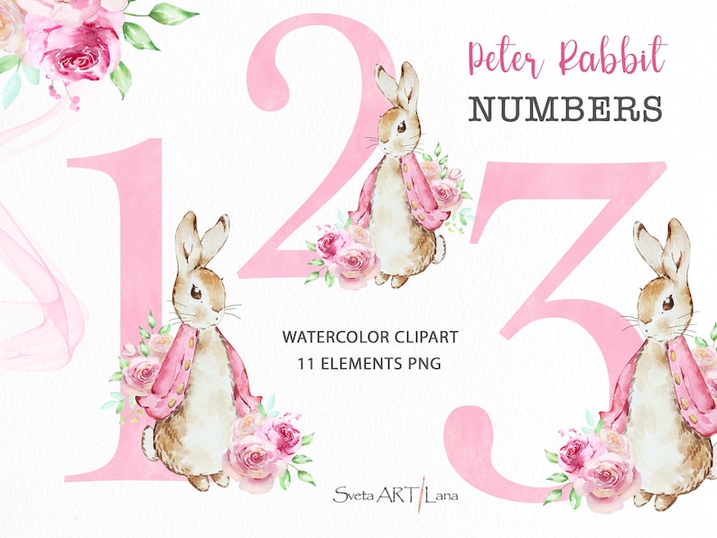 Flopsy Rabbit Pink Floral Numbers PNG | Watercolor Peter Rabbit ...