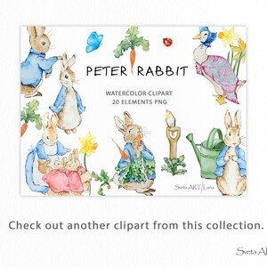 Peter Rabbit Friends Clipart Watercolor Animal PNG Beatrix Potter Art ...