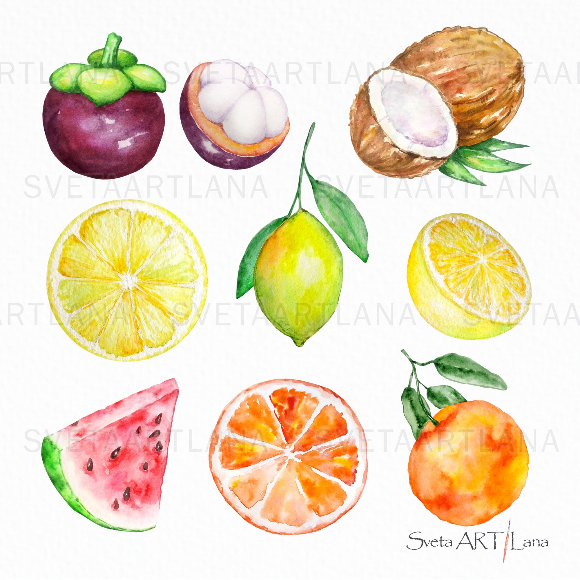 Watercolor Tropical Juicy Fruits Clipart Watercolor Summer - Etsy