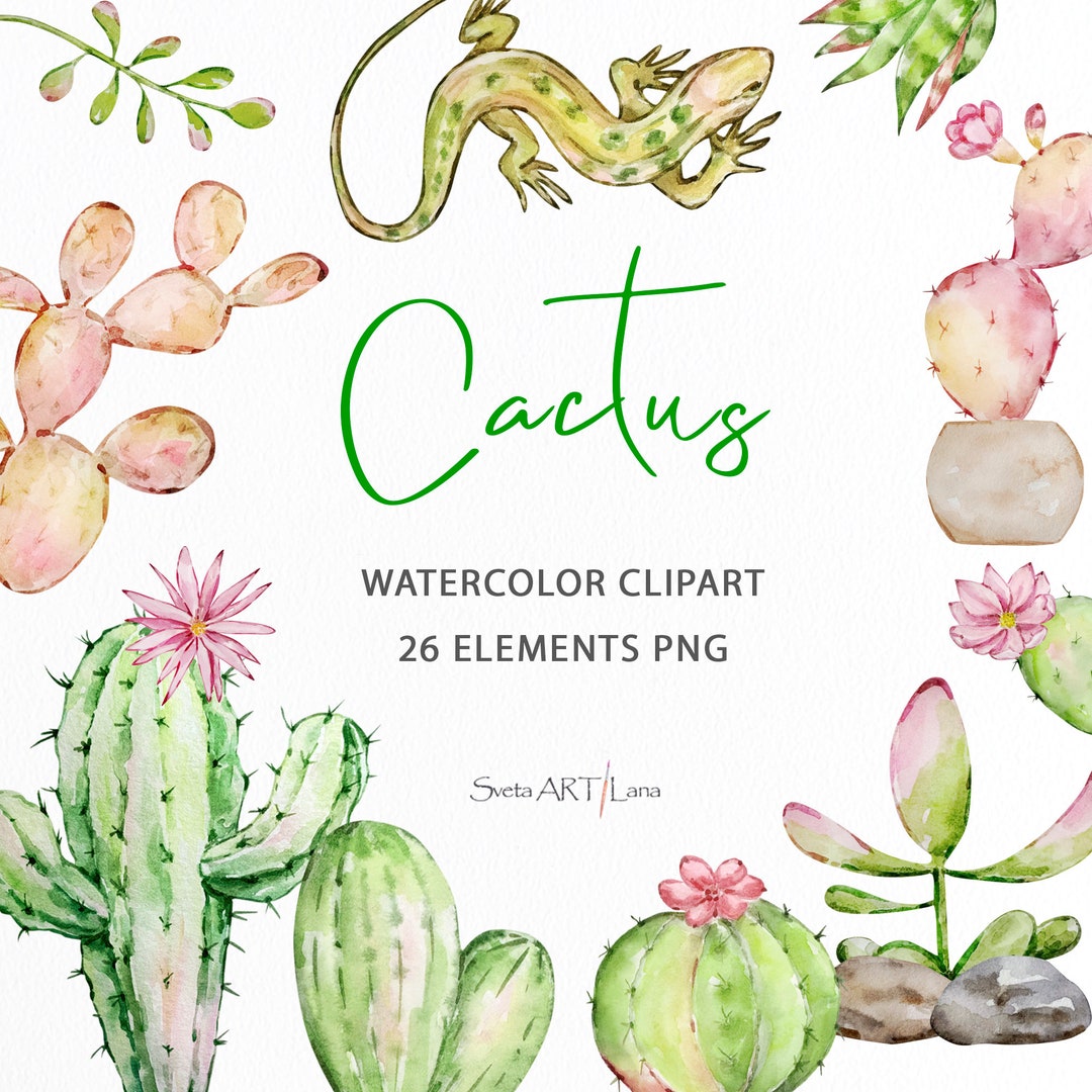 Watercolor Cactus Clipart | Boho Tropical Plant | Mexican Cacti ...