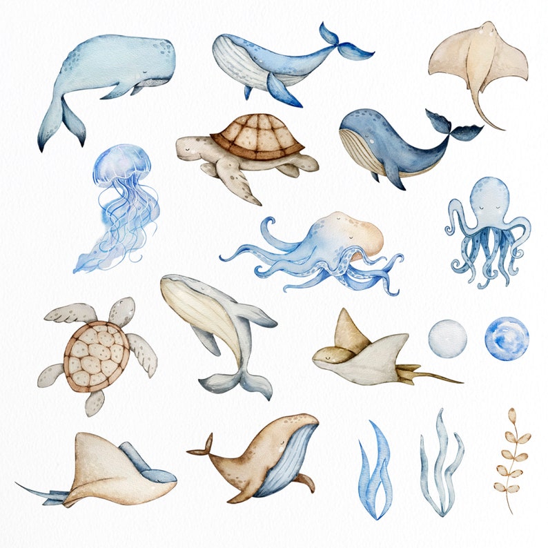 Under the Sea Clipart | Watercolor Sea Animals | Whale Turtle Octopus ...