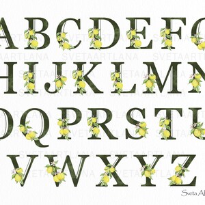 Lemon Alphabet Clipart | Watercolor Summer Lemon Alphabet PNG | Citrus ...