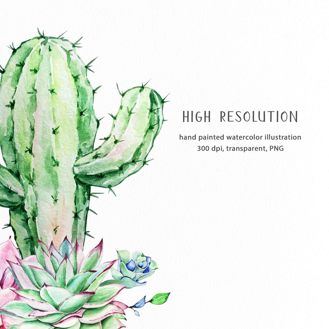Watercolor Cactus Clipart | Cactus Frames | Mexican Cacti Greenery ...