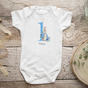 Peter Rabbit Blue Floral Numbers PNG | Watercolor Peter Rabbit ...