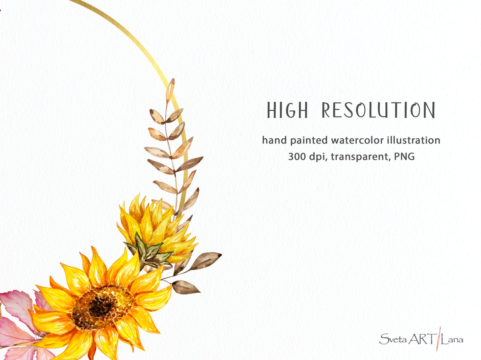 Sunflower Gold Frame Autumn Clipart Fall Pumpkin Watercolor - Etsy