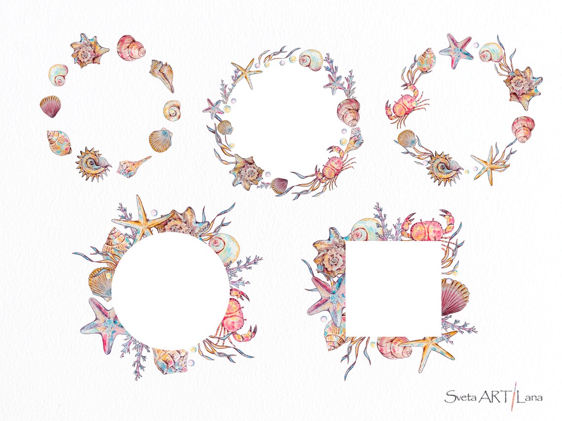 Watercolor Seashells Frames Clipart Nautical Clipart - Etsy