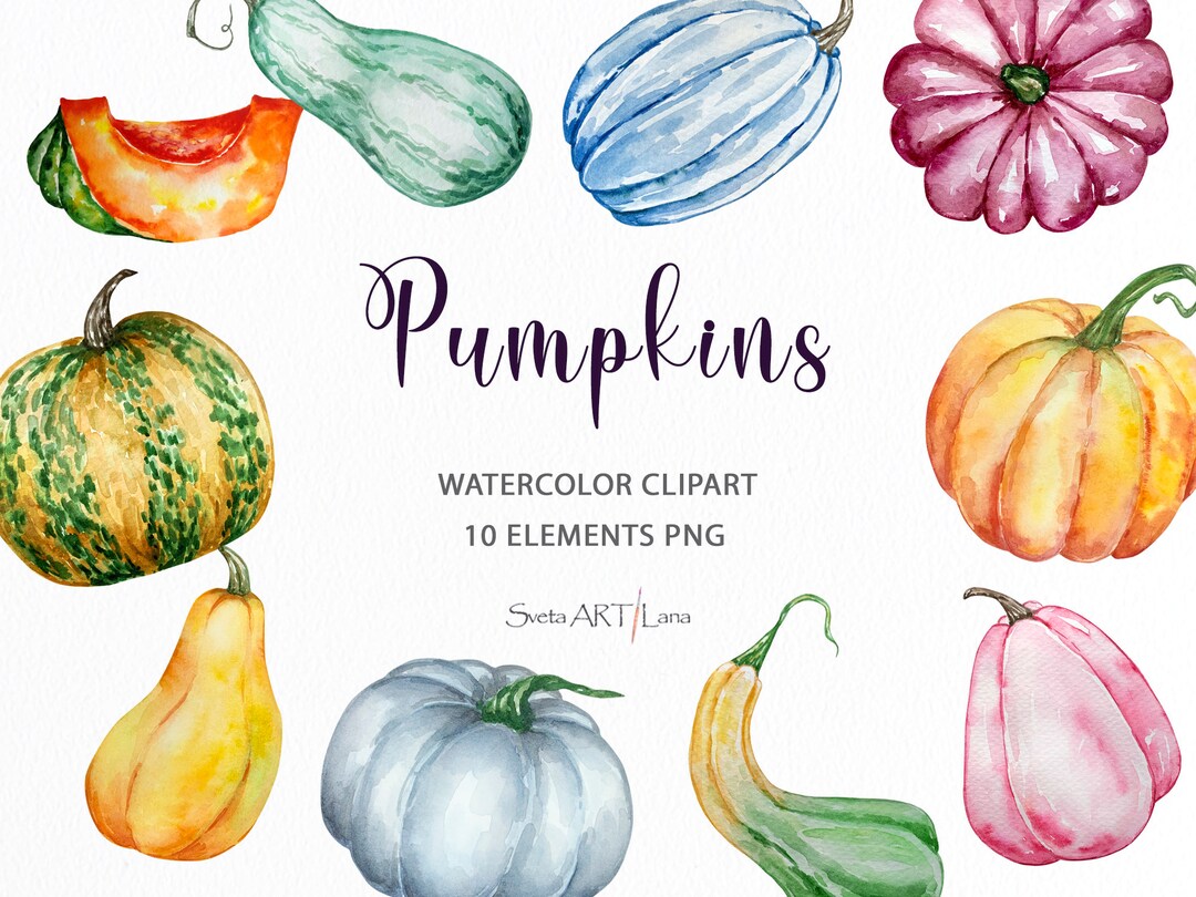 Watercolor Pumpkin Clipart Autumn Pumpkins Clip Art Fall - Etsy