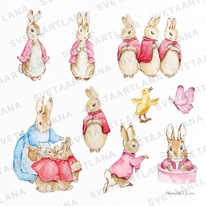 Peter Rabbit Pink Clipart | Watercolor Rabbit PNG | Beatrix Potter Art ...