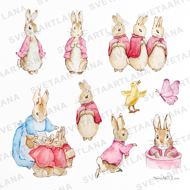 Peter Rabbit Pink Clipart | Watercolor Rabbit PNG | Beatrix Potter Art ...