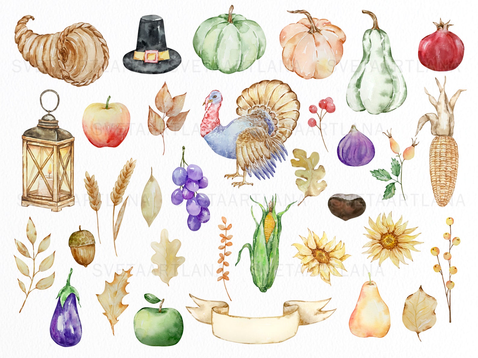 Watercolor Thanksgiving Clipart Holiday Turkey PNG Autumn - Etsy