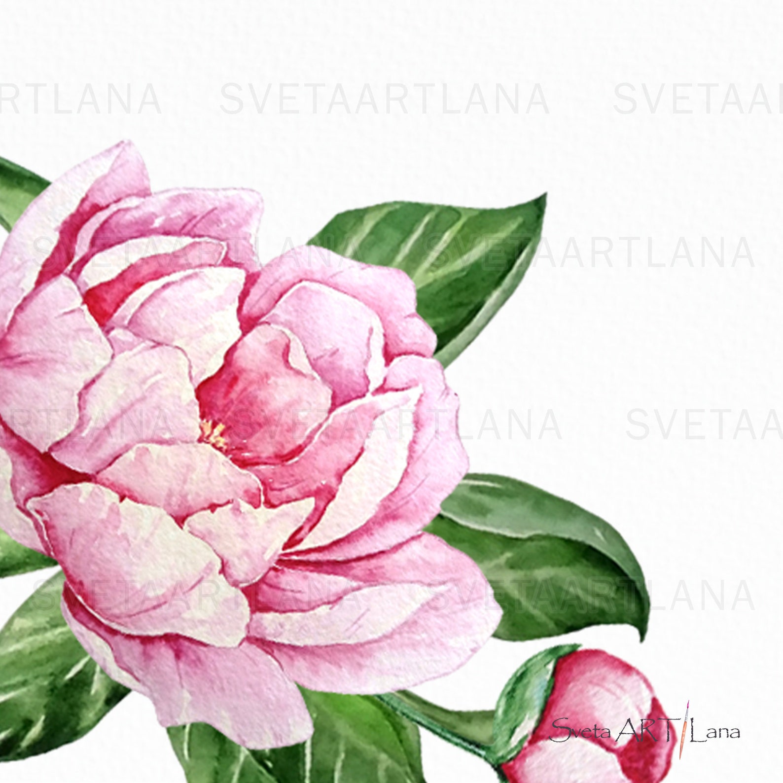 Watercolor Peony Flowers Clipart | Gold Geometric Frames | Peonies ...