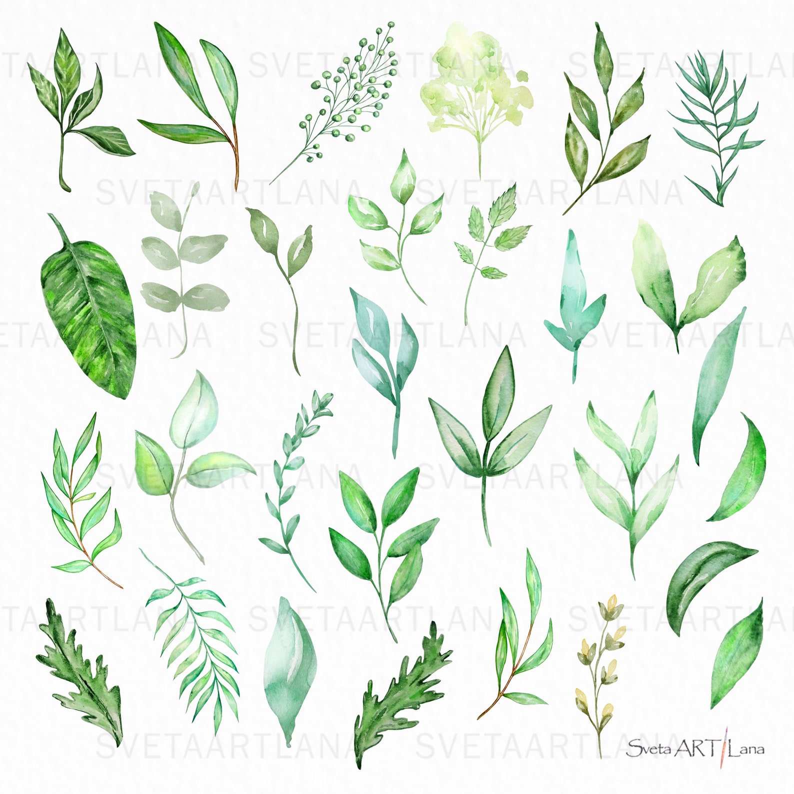 Watercolor Greenery Clipart Green Eucalyptus Foliage Clip - Etsy