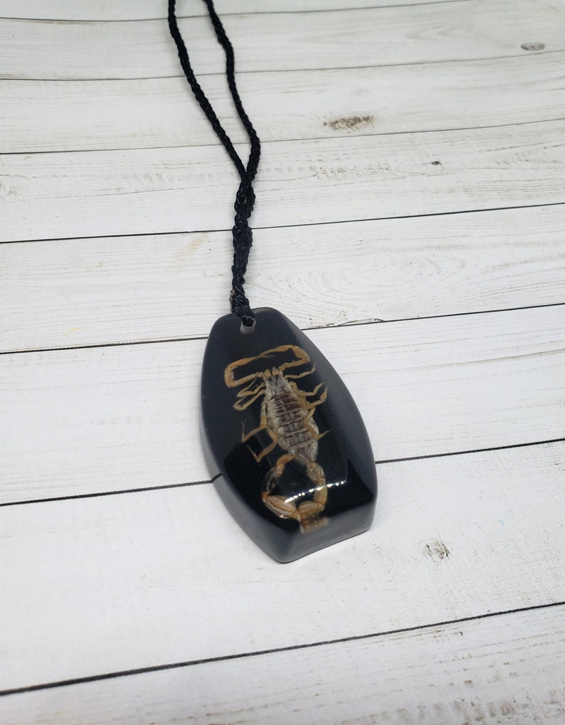 Black Resin Casted Real Mini Scorpion Pendant With Chord | Etsy