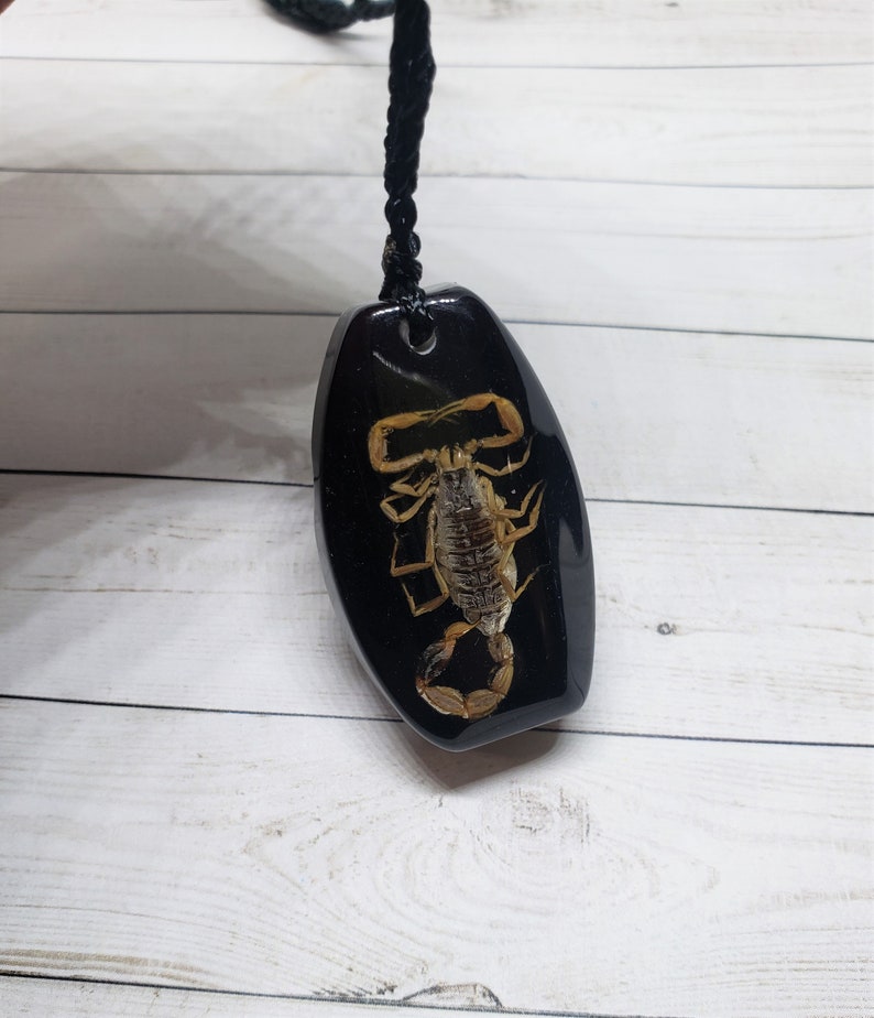 Black Resin Casted Real Mini Scorpion Pendant With Chord - Etsy