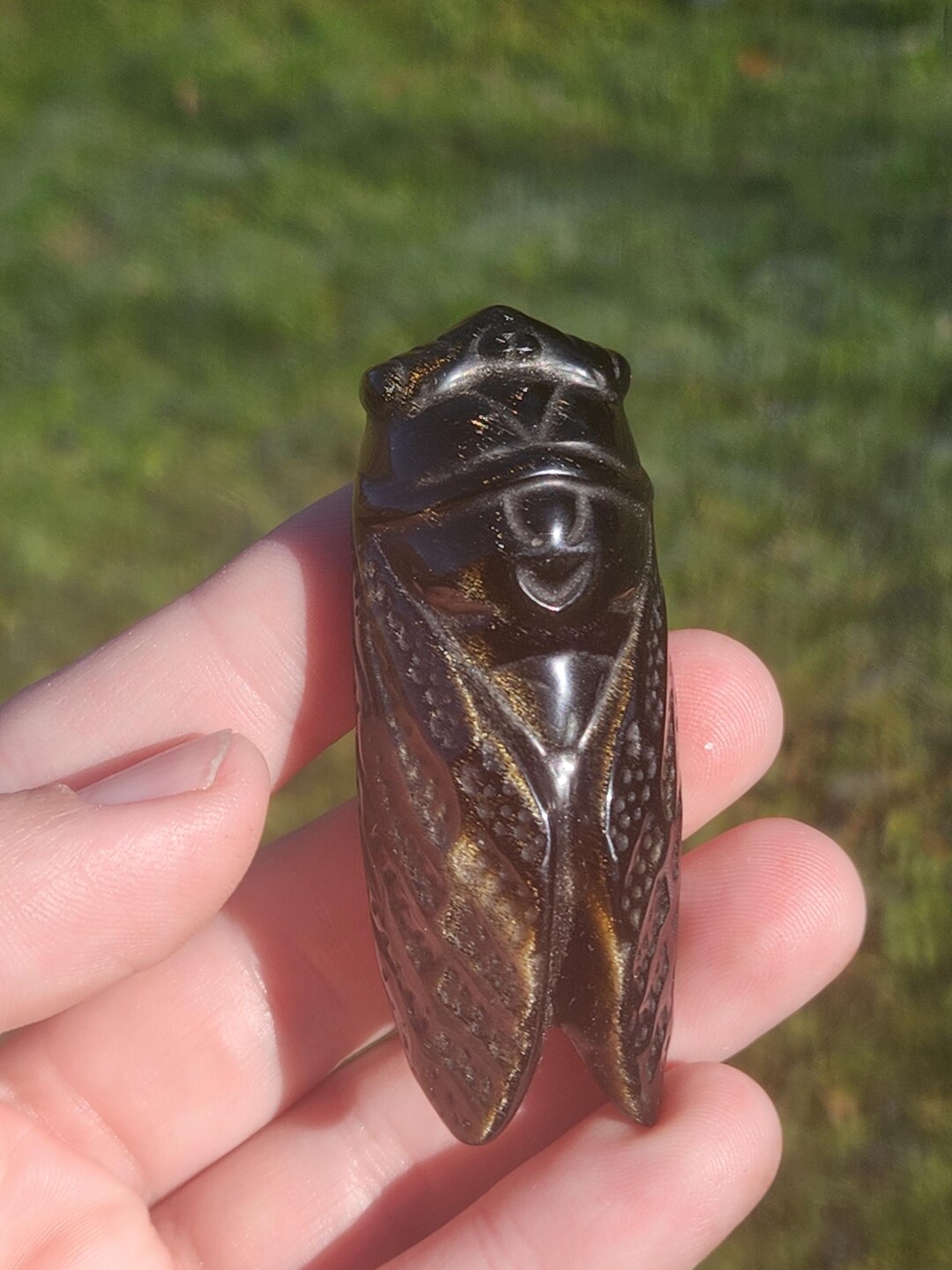 Golden Sheen Obsidian Cicada Insect Natural Crystal Carving Cicadoidea ...